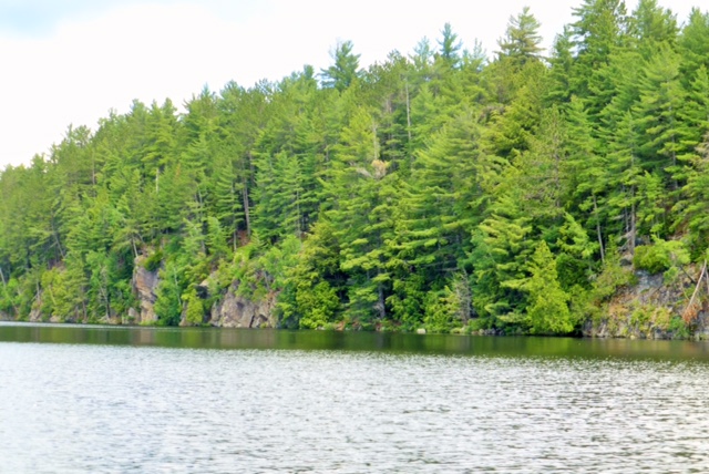 Elissa Boughen of Chestnut Park: Pristine Cache Lake in Algonquin Park