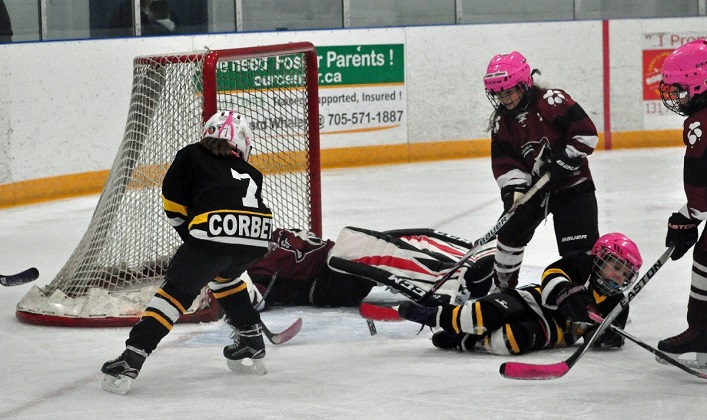 First ever gold for young Huntsville girls' league at home tournament ...
