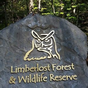 Limberlost Reserve receives Forests Ontario award for outstanding ...