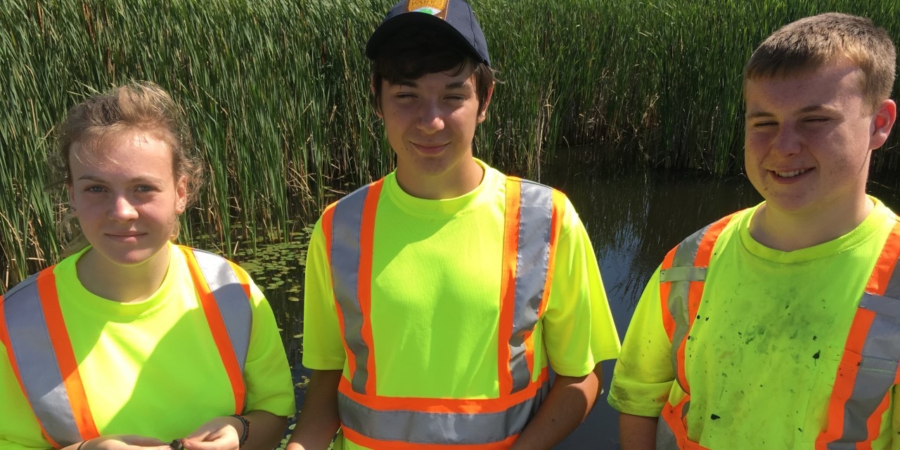 Local Stewardship program helps protect area turtle population ...