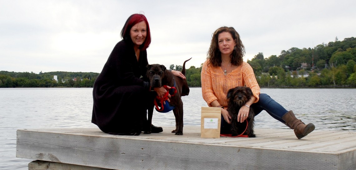 Local company producing cannabis-derived dog treats...and no, they won ...