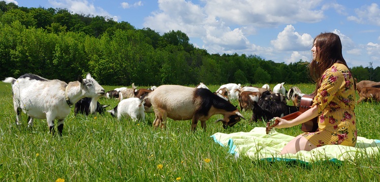 Let the goats be the judge: GOAT Talent Search gives back to therapy ...