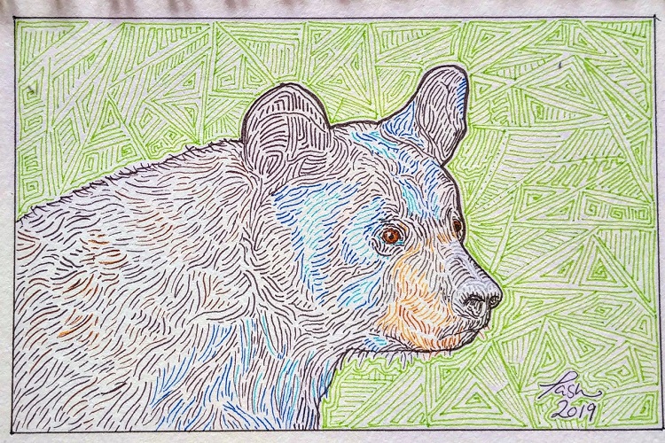 Sound and Sight: Natasha Banks - Huntsville Doppler