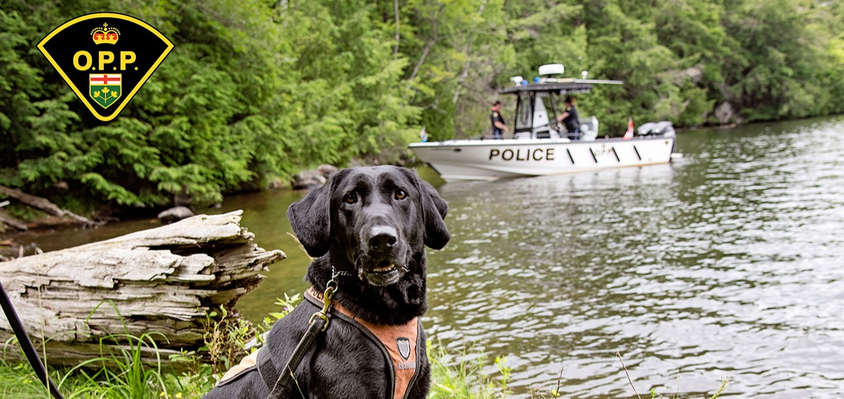 OPP K-9 Unit calendar supports 'paw'some causes - Huntsville Doppler