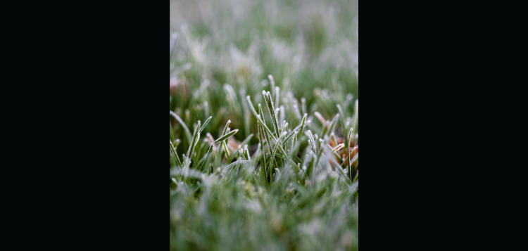 Doppler daily weather report - Huntsville Doppler