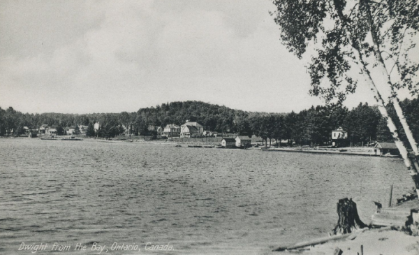 It’s Wayback Wednesday!: Dwight Beach | Sponsored by Jamie Lockwood ...