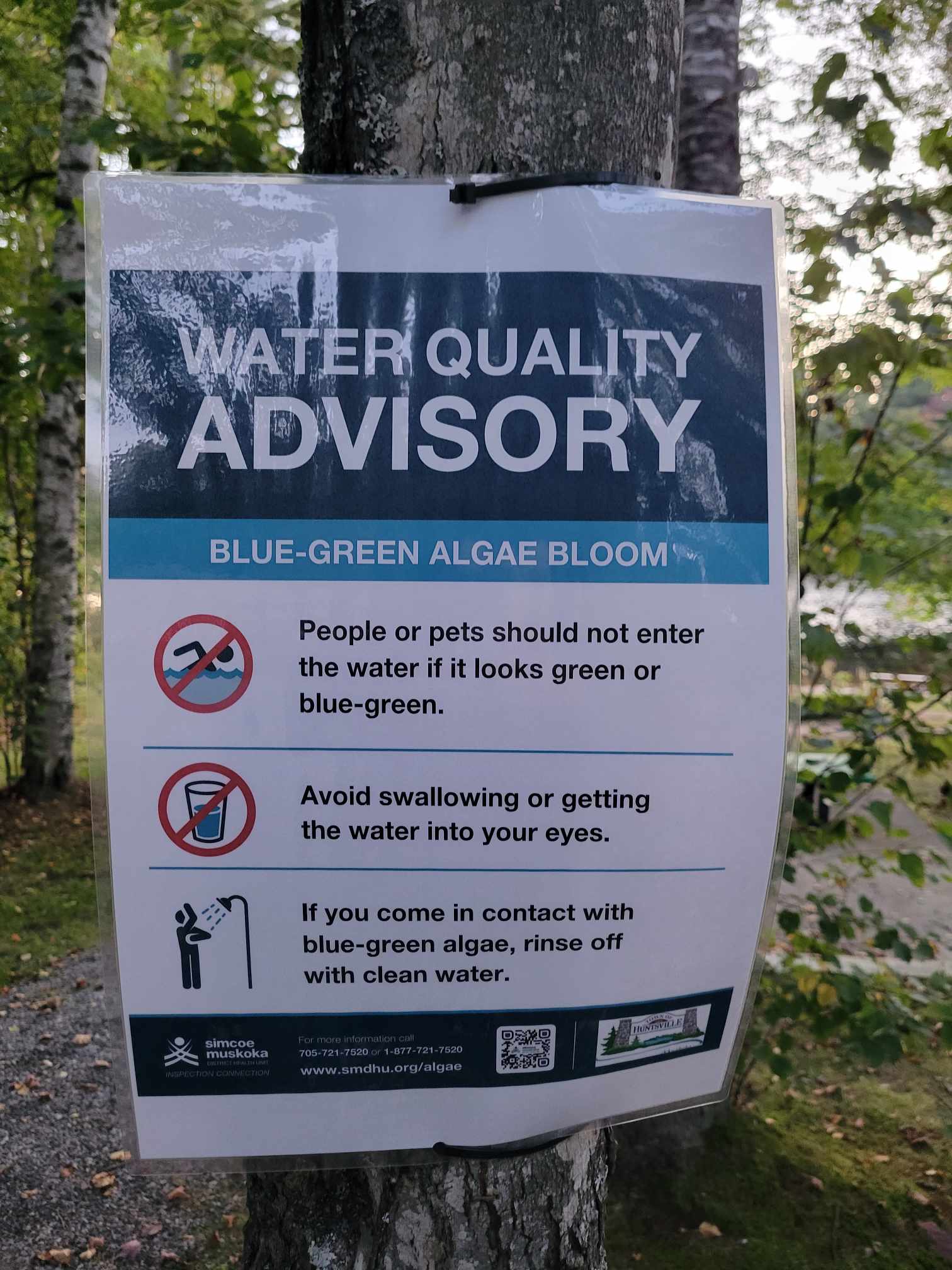 Town of Huntsville took too long to post blue-green algae warning signs ...