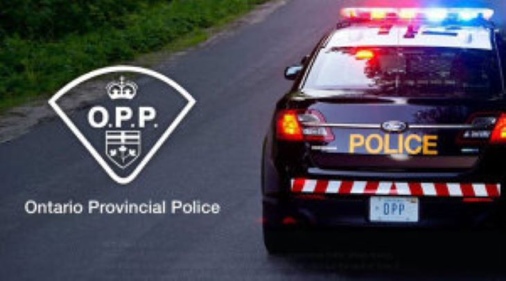 A call for a vehicle in a ditch on Aspdin Rd leads to impaired charges ...
