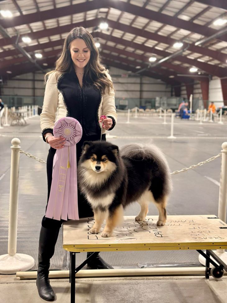 Five dogs from Huntsville compete in world-class dog show - Huntsville ...