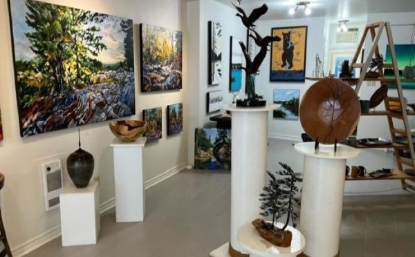 Eclipse Art Gallery officially opens its Downtown Huntsville doors on ...