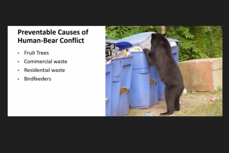 What's going on with the bears? - Huntsville Doppler