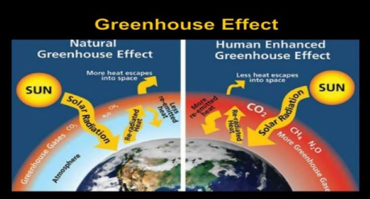 Life in the biggest greenhouse: Hugh Holland | Commentary - Huntsville Doppler