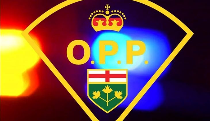 Bracebridge OPP continue investigation into hit-and-run - Huntsville ...
