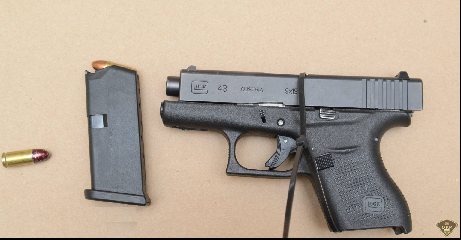 Provincial Guns and Gangs Enforcement Team lays 197 charges from ...