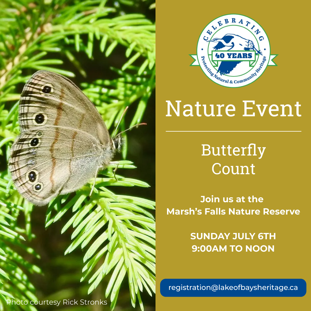 A morning of nature, discovery, and conservation at Marsh’s Falls ...