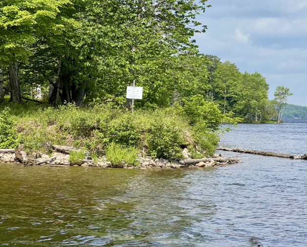 Lake Vernon property owners complete shoreline restoration project ...