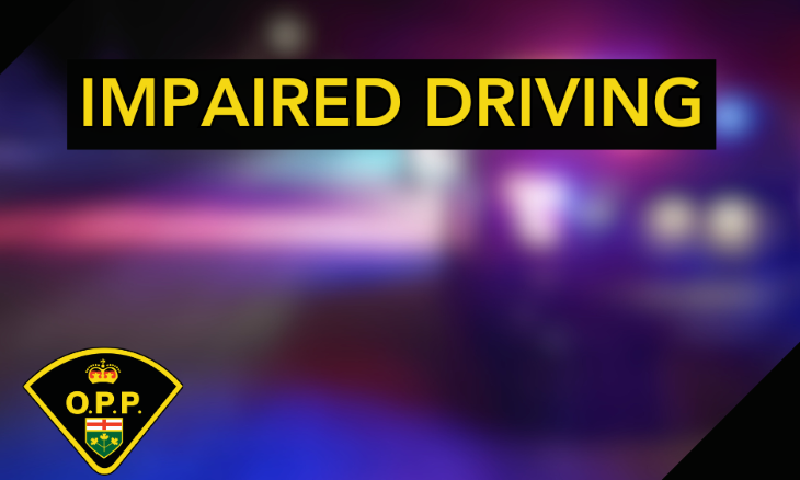 OPP says impaired drivers continue to put community at risk ...
