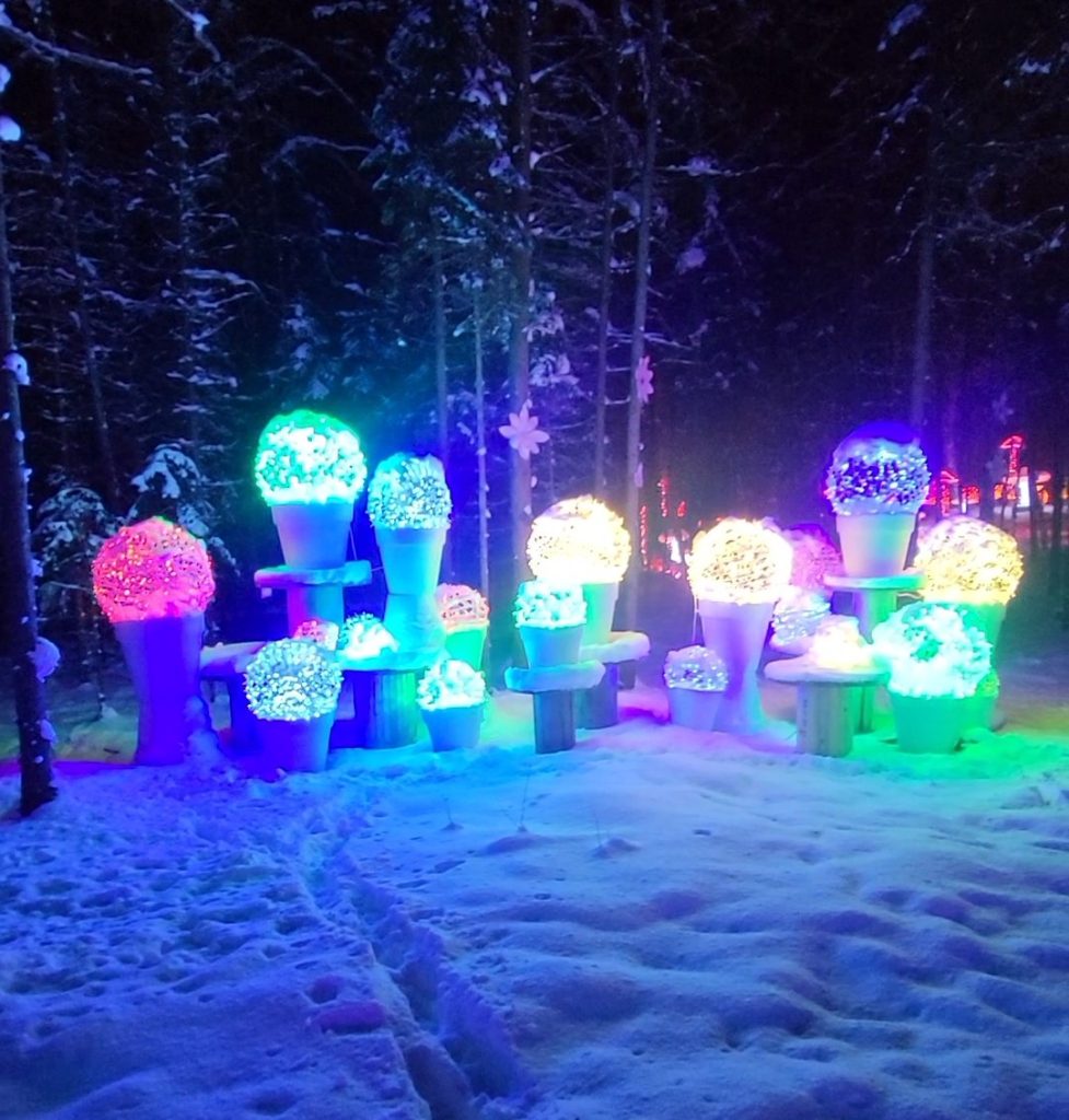 Forest of Light at Sandhill Nursery officially opens - Huntsville Doppler