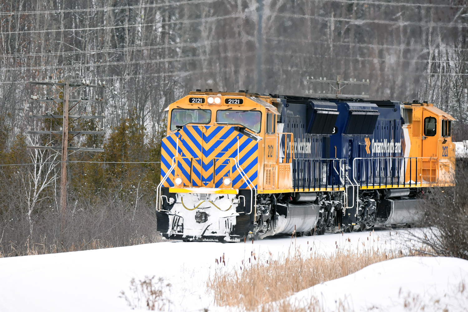 Success or failure depends how the Northlander is reintroduced ...